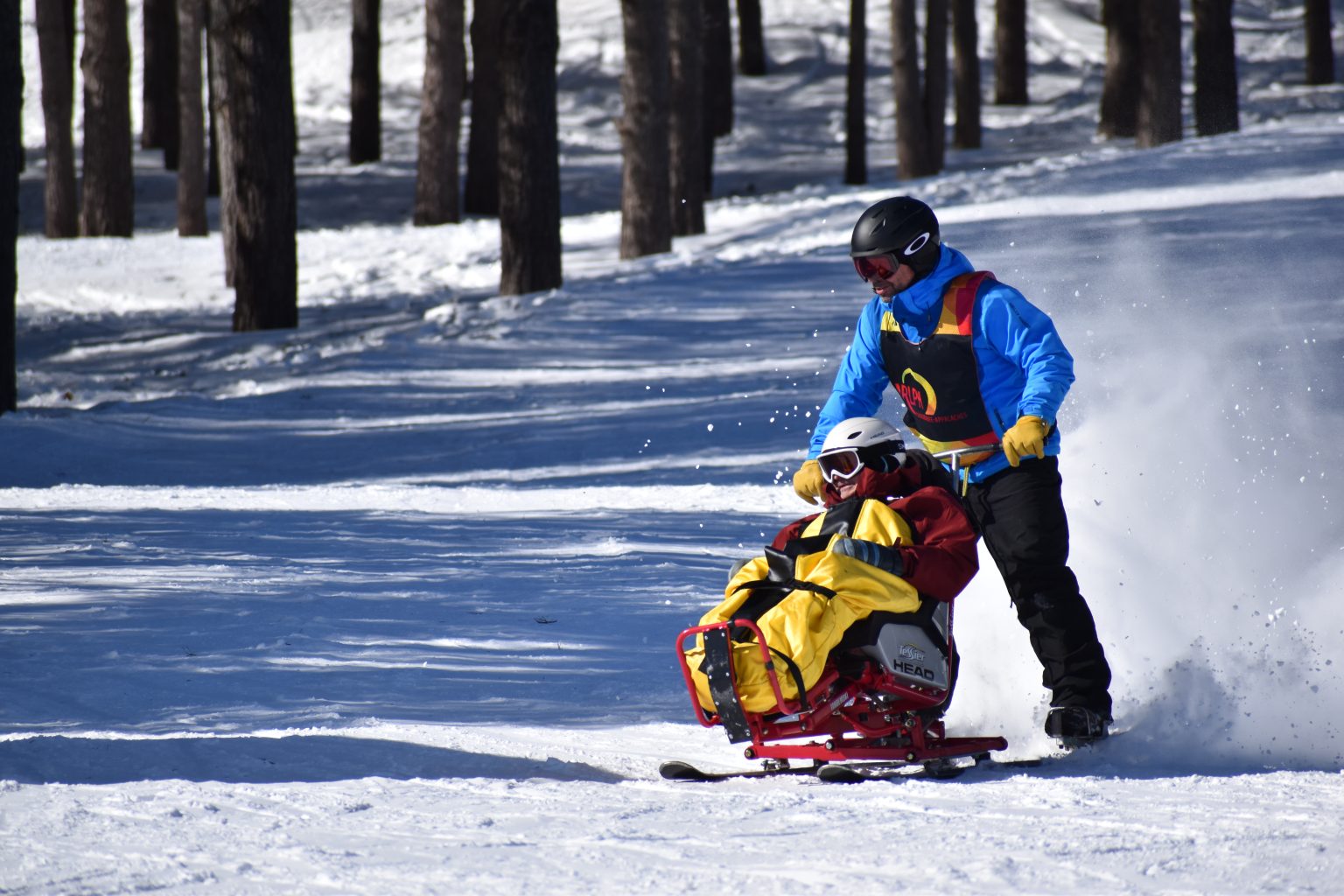 Sports d’hiver adaptés : une programmation inclusive déployée en ...